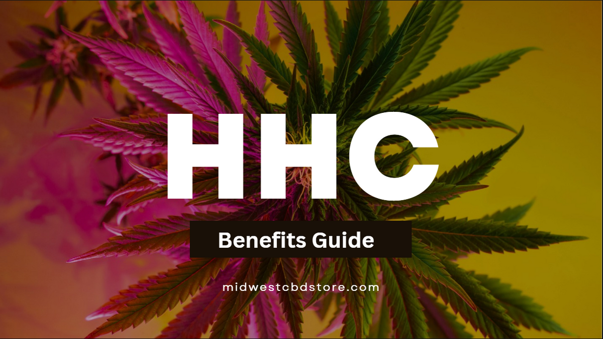Understanding HHC: A Beginner-Friendly Guide to Its Benefits and Uses ...
